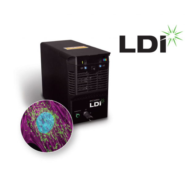 LDI Family - 89North