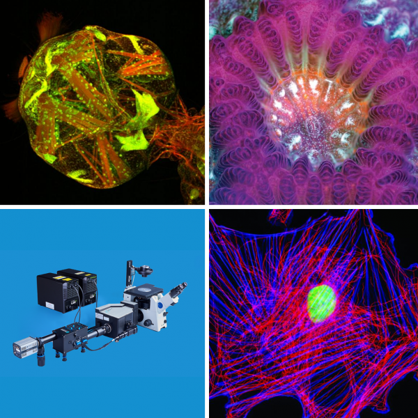 Photonics & Imaging - 89North